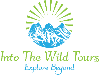 Get Answers To Your Frequently Asked Questions From Our Tours – Into ...